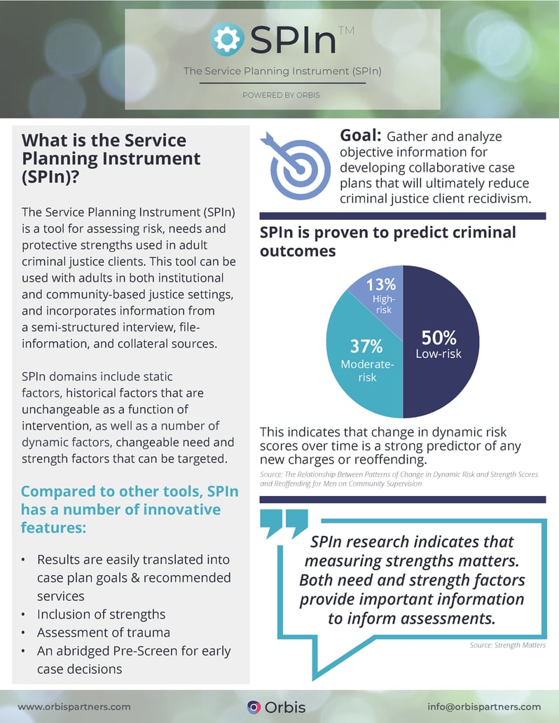 SPIn | Adult Risk Assessment- Fact Sheet